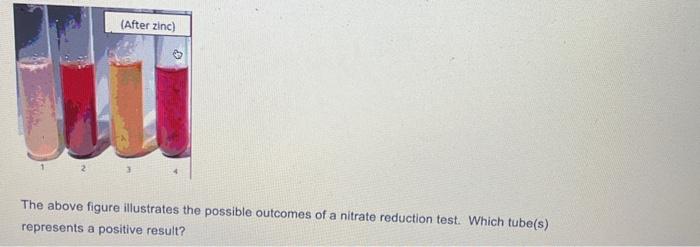 Solved The above figure illustrates the possible outcomes of | Chegg.com