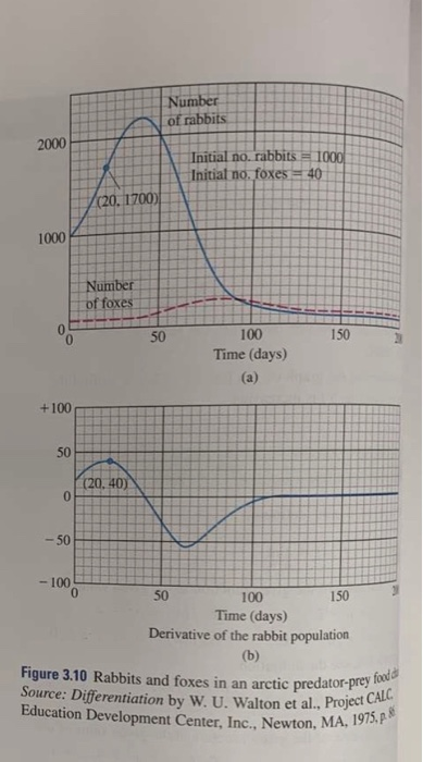 Solved (b) What is the size of the rabbit population in | Chegg.com