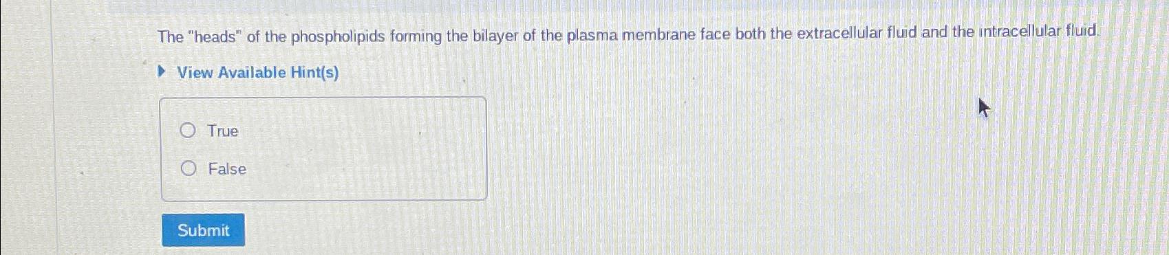 Solved The "heads" of the phospholipids forming the bilayer | Chegg.com