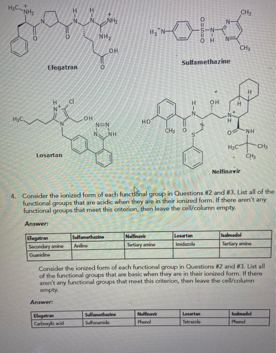 Solved Can you explain why the acids are considered basic | Chegg.com