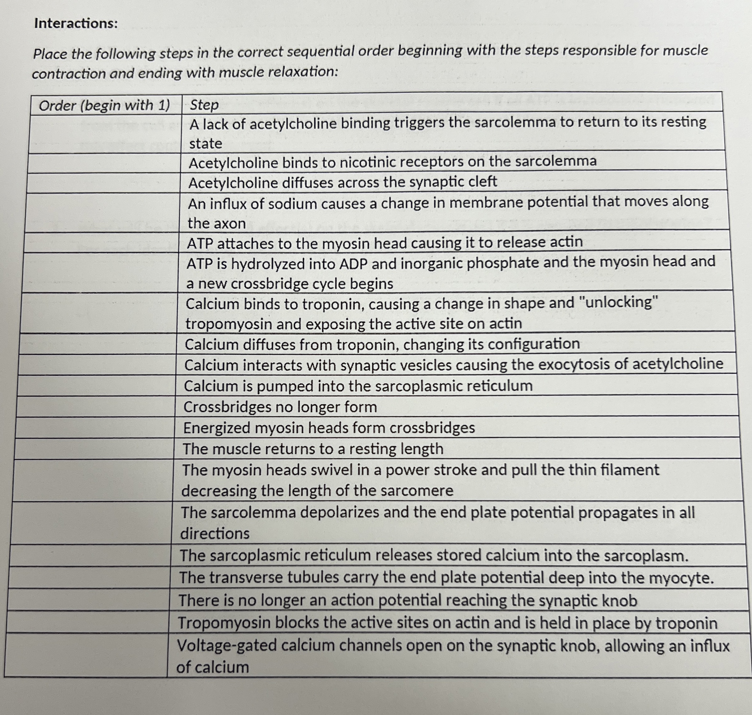 Solved Interactions:Place the following steps in the correct | Chegg.com