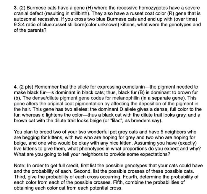 Solved can someone please help me with 3 and 4?please write | Chegg.com Solved can someone please help me with 3 and 4?please write | Chegg.com