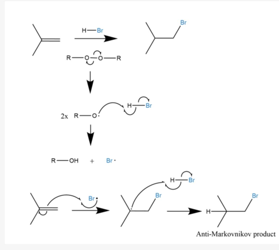 Solved Background: The Markownikoff or Markovnikov rule | Chegg.com