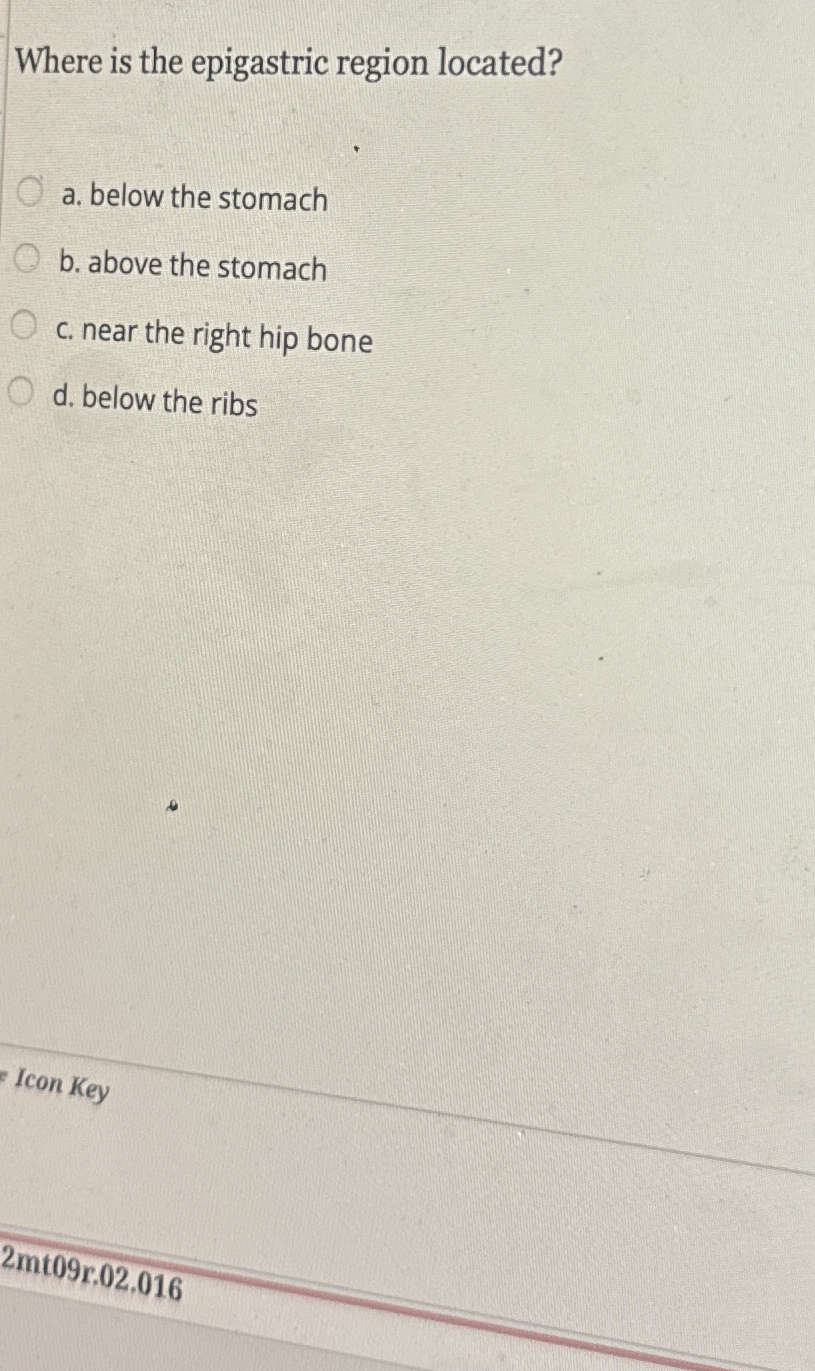 Solved Where is the epigastric region located?a. ﻿below the | Chegg.com