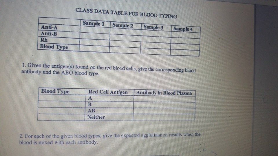 Solved CLASS DATA TABLE FOR BLOOD TYPING Sample 1 Sample 2 | Chegg.com