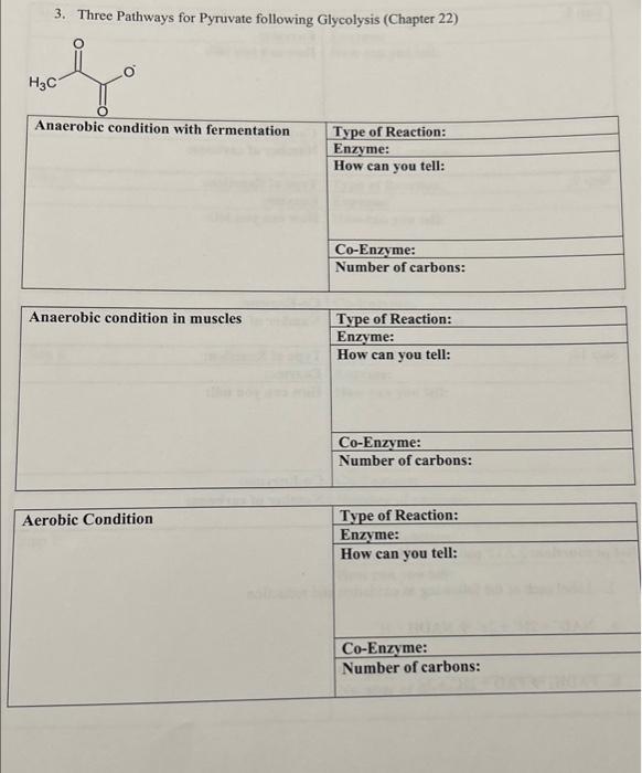 Solved 3. Three Pathways for Pyruvate following Glycolysis | Chegg.com