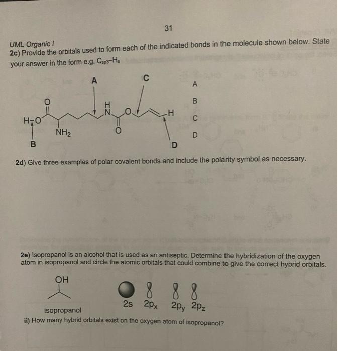 Solved UML Organic I 2c) Provide the orbitals used to form | Chegg.com