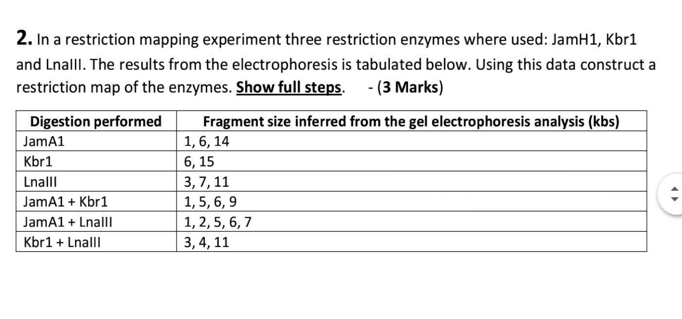 Solved Page break 2. In a restriction mapping experiment | Chegg.com