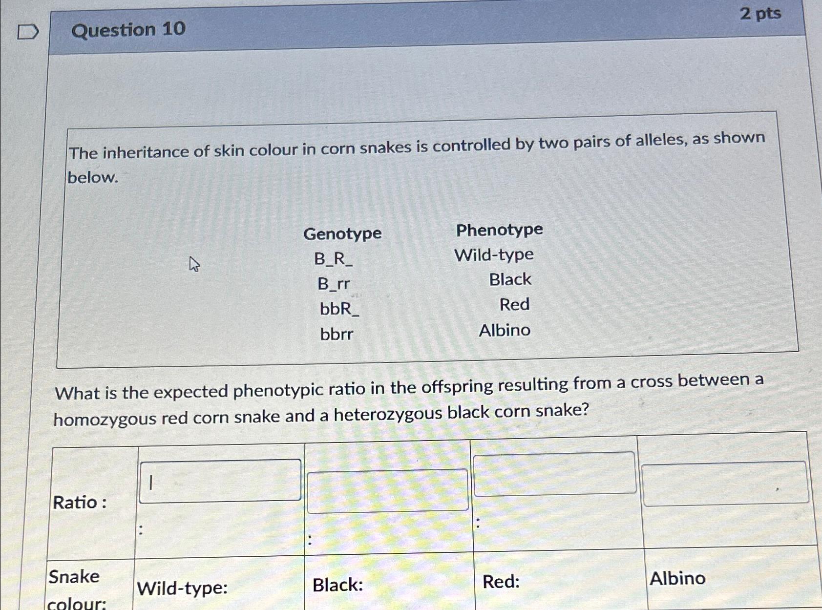 Solved Question 102 ﻿ptsThe inheritance of skin colour in | Chegg.com
