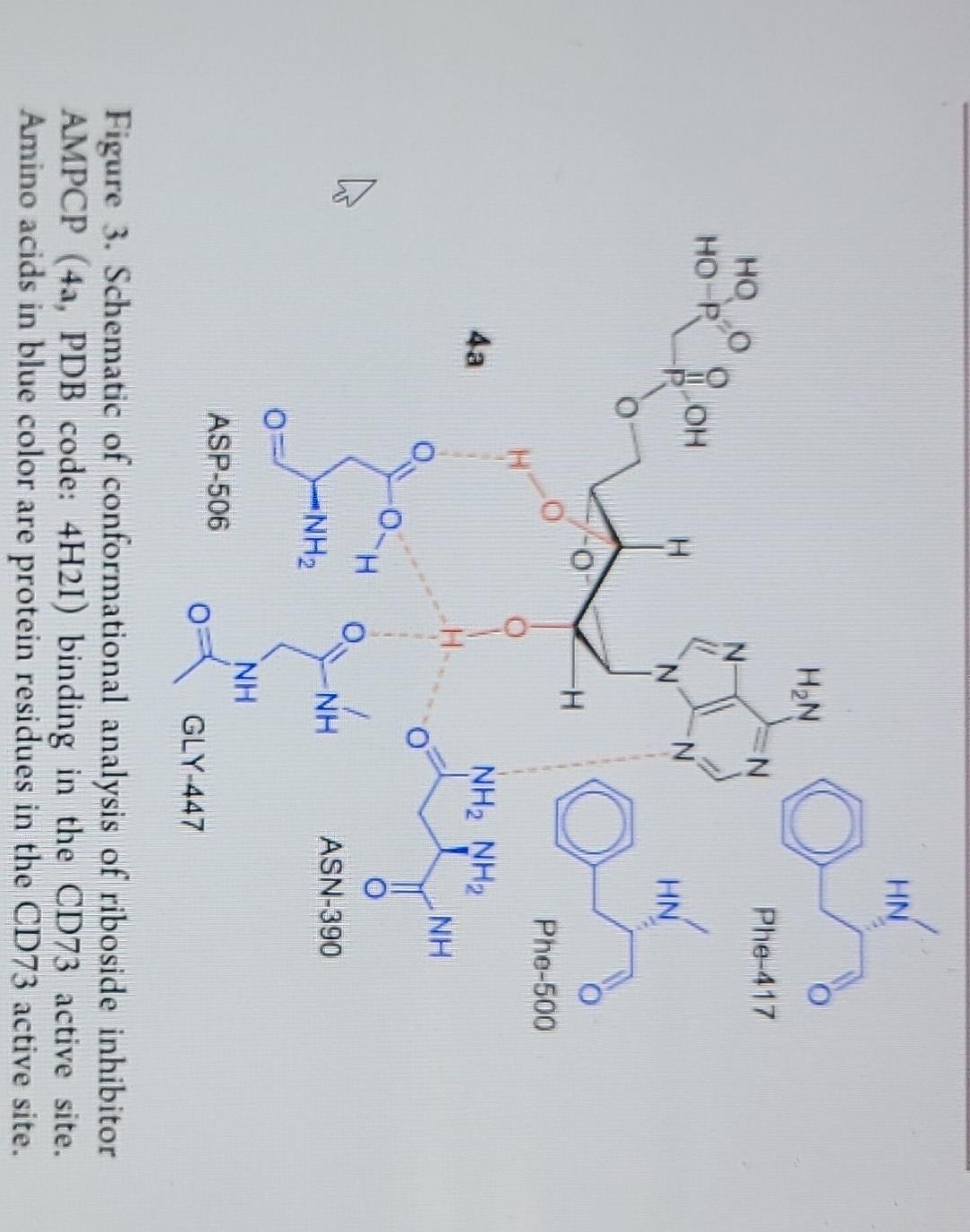 Solved Figure 3. Schematic of conformational analysis of | Chegg.com