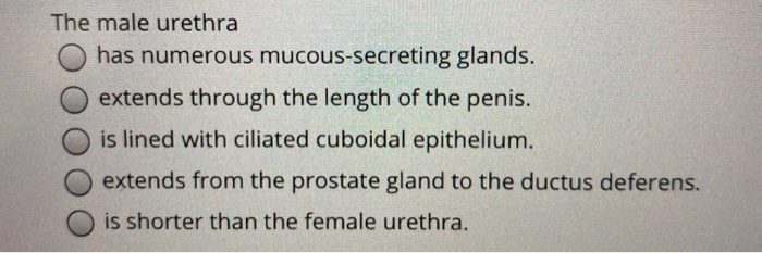 Solved Both the vagina and the urethra open into a space | Chegg.com