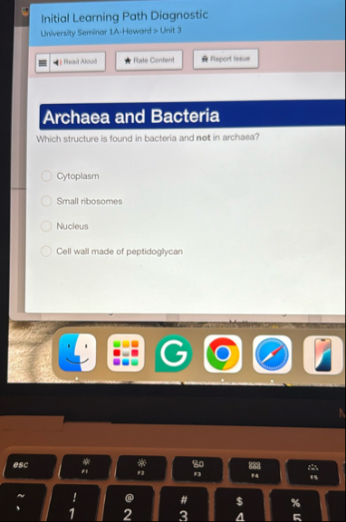 Solved Initial Learning Path DiagnosticUnkersity Seminor | Chegg.com