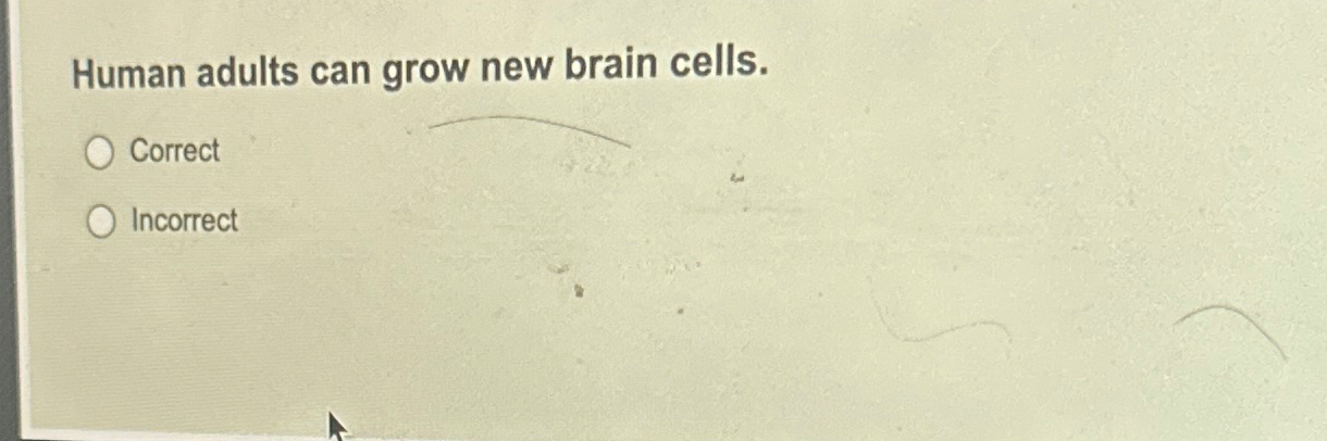 Solved Human adults can grow new brain cells. ﻿Correct | Chegg.com