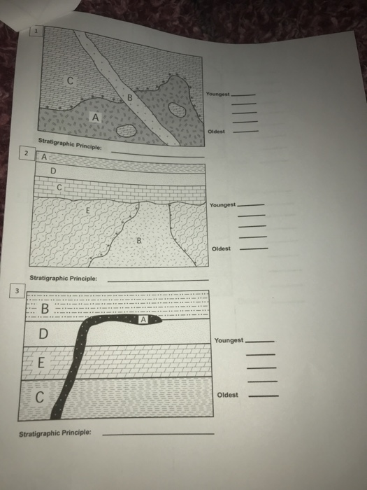 Solved Geologic Rock Symbols Sandstone Limestone Gneiss | Chegg.com