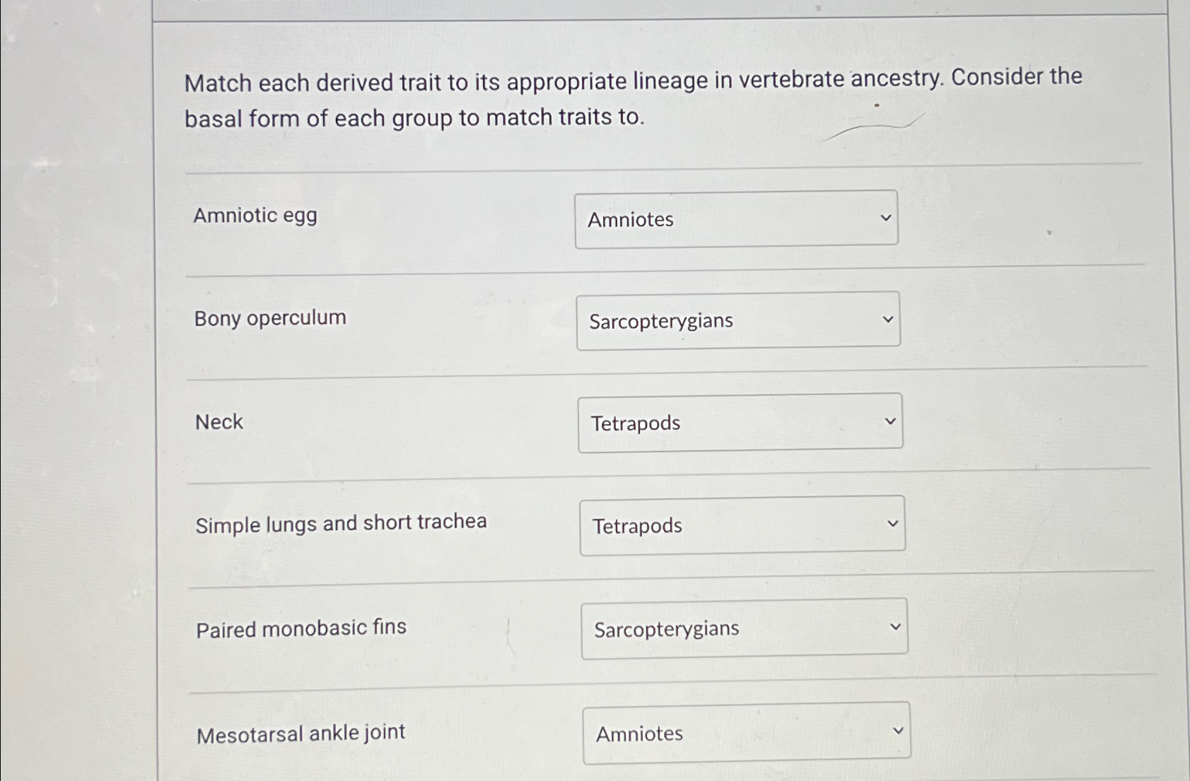 Solved Match each derived trait to its appropriate lineage | Chegg.com