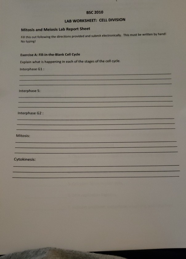 Solved BSC 2010 LAB WORKSHEET: CELL DIVISION Mitosis and | Chegg.com