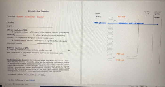 Solved Urinary System Worksheet 1. Excretion- Filtration: 1 | Chegg.com