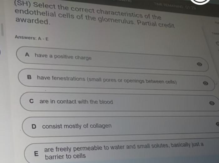 Solved endothelial cells correct characteristics of the | Chegg.com