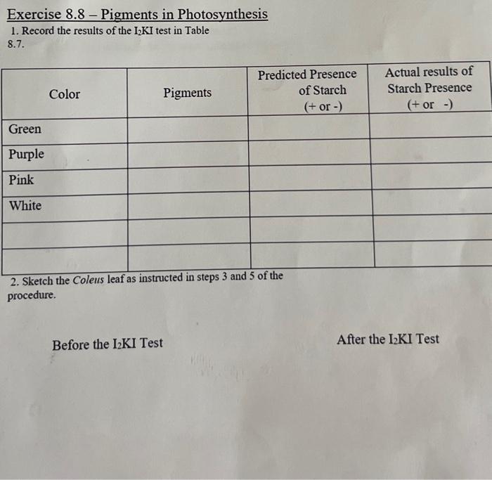 Solved Exercise 8.8− Pigments in Photosynthesis 1. Record | Chegg.com
