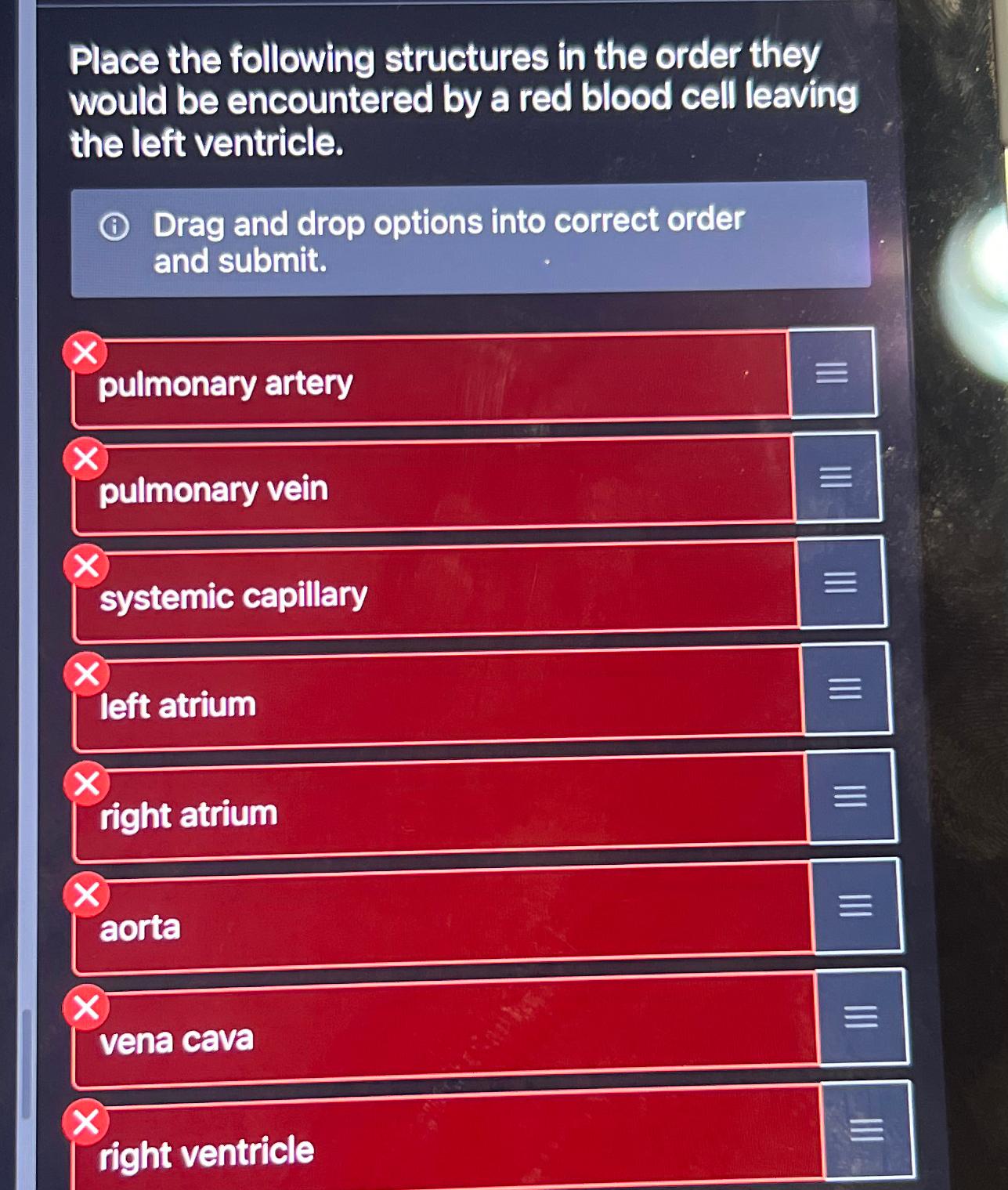 Solved Place the following structures in the order they | Chegg.com