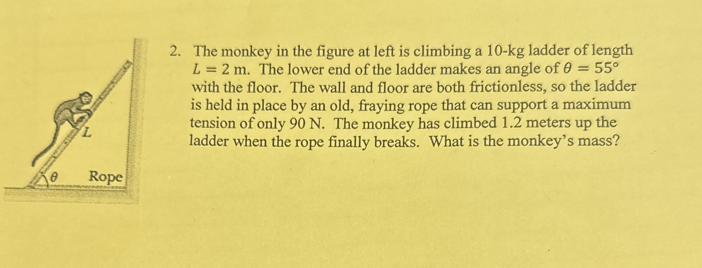 Solved The monkey in the figure at left is climbing a 10-kg | Chegg.com