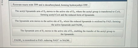 Solved Pyruvate reacts with TPP and is decarboxylated, | Chegg.com