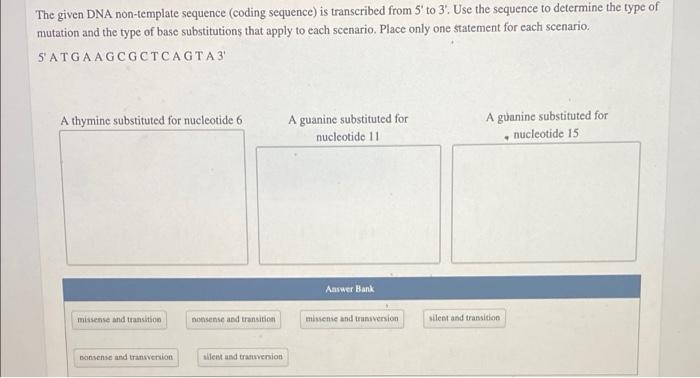 Solved The Given Dna Non Template Sequence Coding Sequence