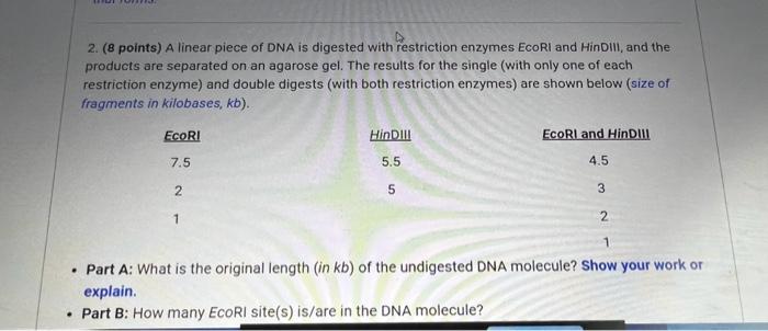 Solved 2. ( 8 points) A linear piece of DNA is digested with | Chegg.com