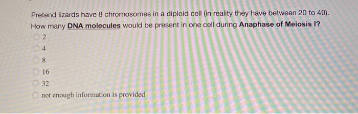 Solved Pretend lizards have 8 chromosomes in a diploid cell | Chegg.com