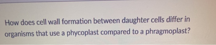 Solved How does cell wall formation between daughter cells | Chegg.com