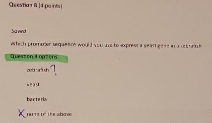 Solved Question 8 ( 4 ﻿points)SavedWhich promoter sequence | Chegg.com