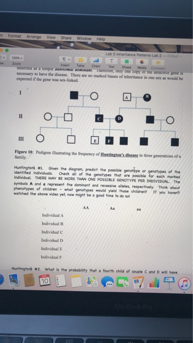 Solved Format Arrange View Share Window Help whice Pattern | Chegg.com