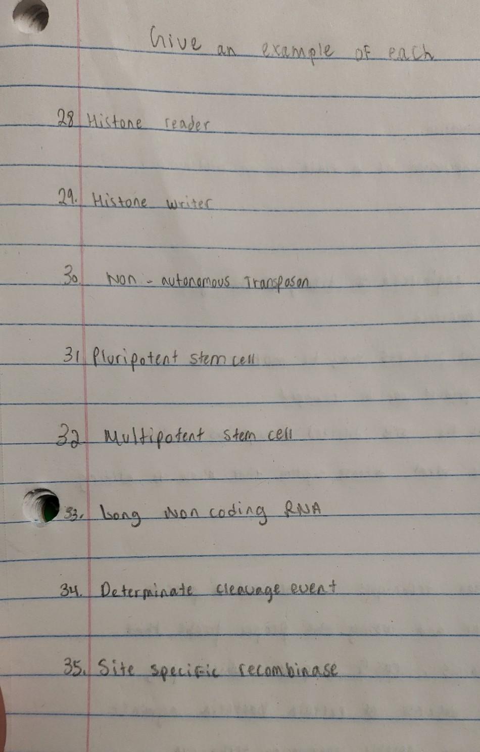 Solved hive an example of each 28 Histone reader 29. Histone | Chegg.com