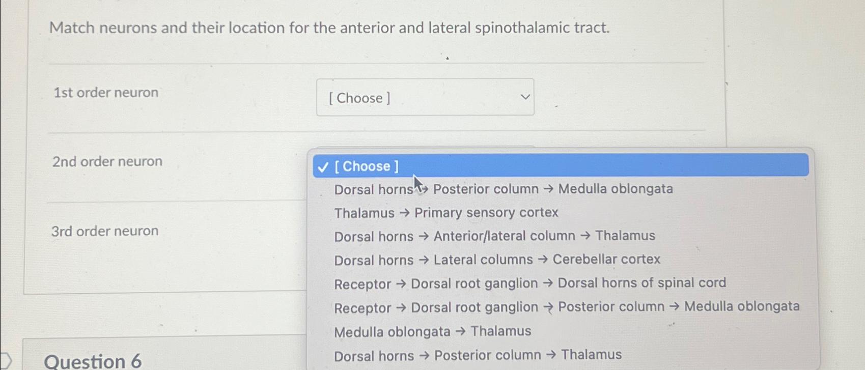 Solved Match neurons and their location for the anterior and | Chegg.com