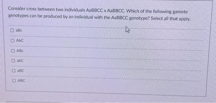 Consider cross between two individuals AaBBCC×AaBBCC. | Chegg.com