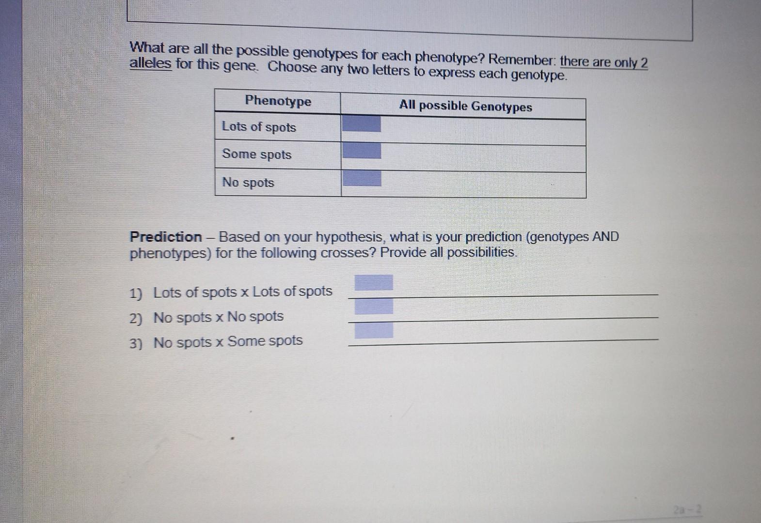 Solved What are all the possible genotypes for each | Chegg.com