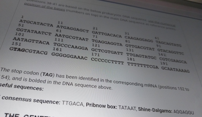 Solved Resitions 38-41 ﻿are based on the below prokaryotic | Chegg.com