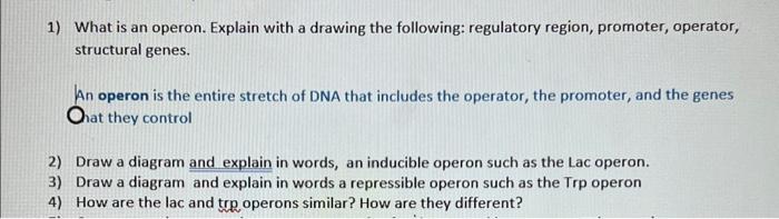 Solved 1) What is an operon. Explain with a drawing the | Chegg.com