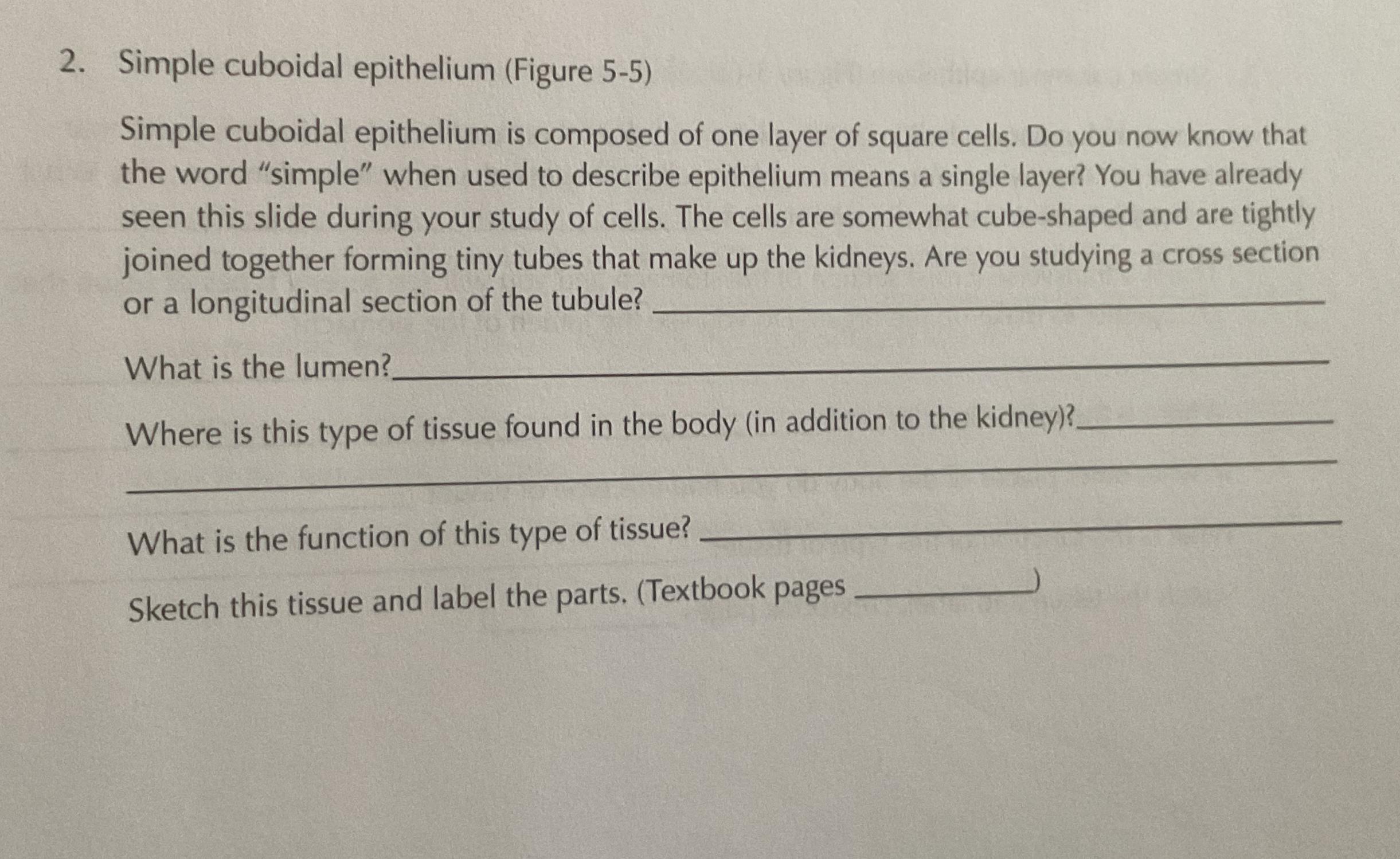 Solved Simple cuboidal epithelium (Figure 5-5)Simple | Chegg.com