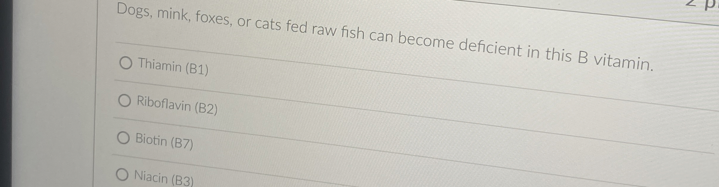 Solved Dogs, mink, foxes, or cats fed raw fish can become | Chegg.com
