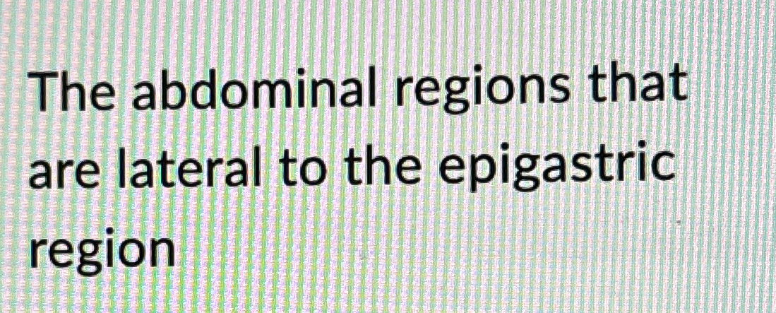 Solved The abdominal regions that are lateral to the | Chegg.com