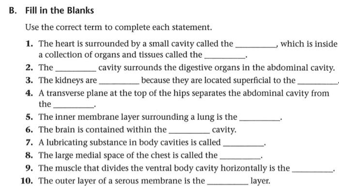 Solved B. Fill in the Blanks Use the correct term to | Chegg.com