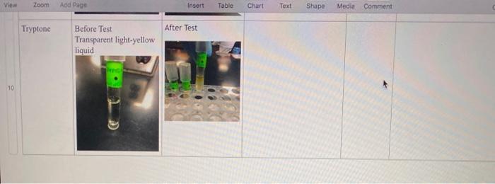 Solved w Zoom Add Page Insert Table Chart Text Shape Media | Chegg.com