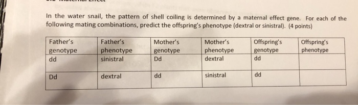 Solved In the water snail, the pattern of shell coiling is | Chegg.com
