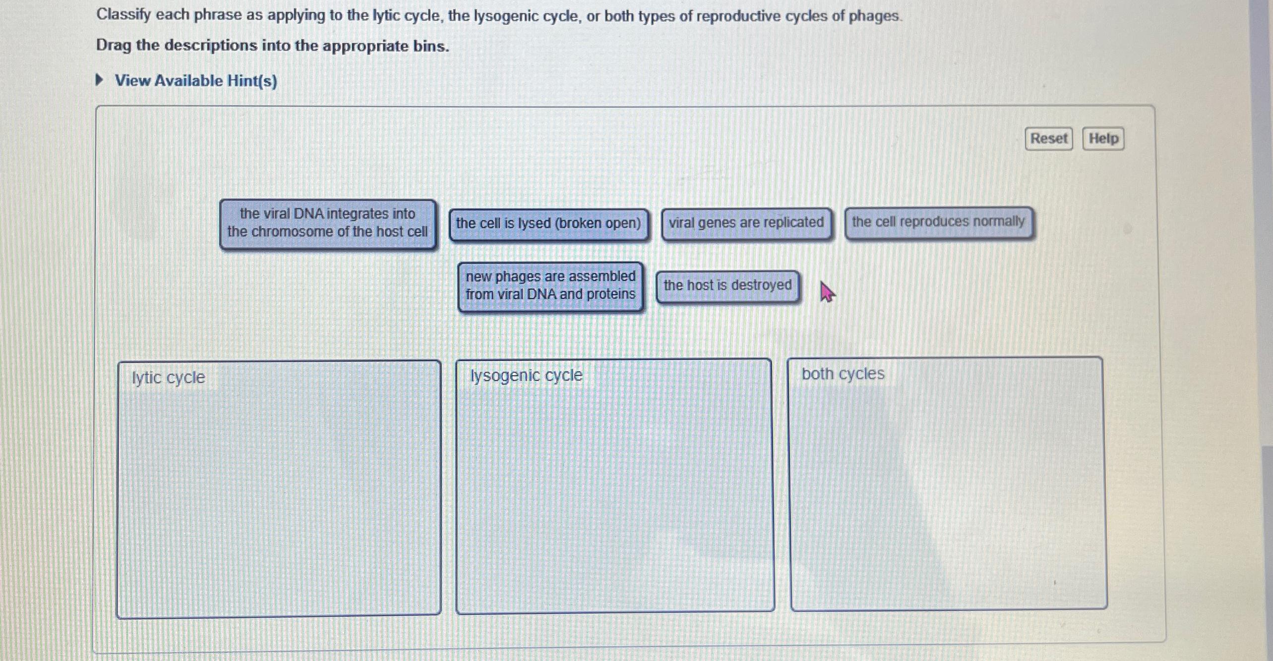 Solved Classify each phrase as applying to the lytic cycle, | Chegg.com