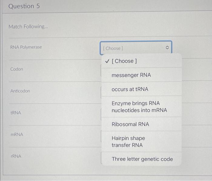 Solved Match Following... RNA Polymerase Codon Anticodon | Chegg.com