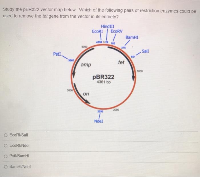 Solved Study the PBR322 vector map below. Which of the | Chegg.com