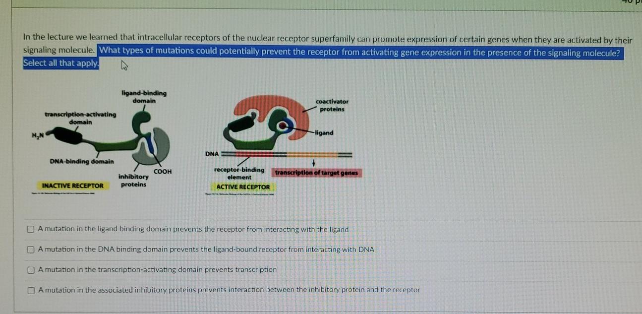 Solved In the lecture we learned that intracellular | Chegg.com