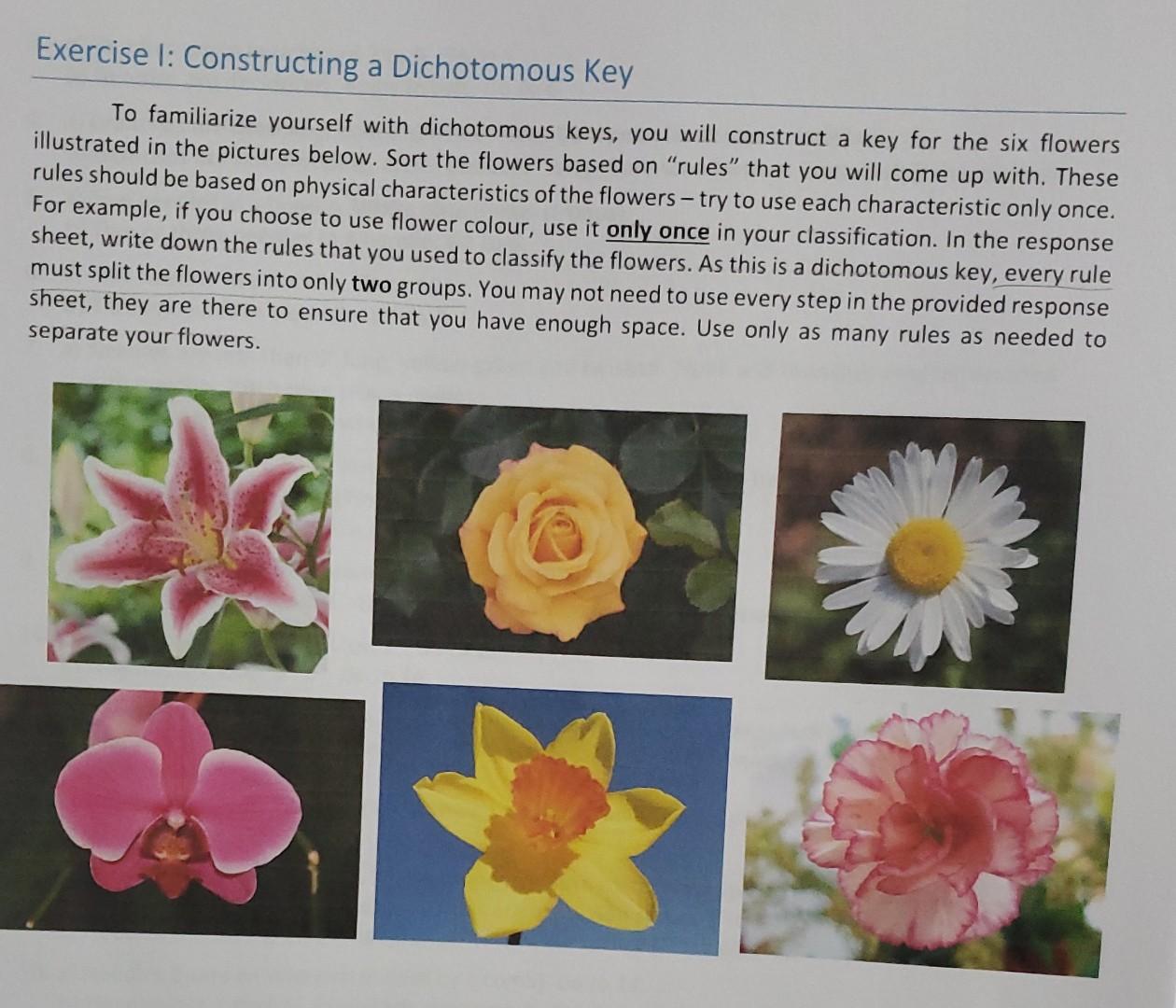Solved To familiarize yourself with dichotomous keys, you | Chegg.com