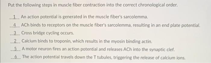 [Solved]: Put the following steps in muscle fiber contracti